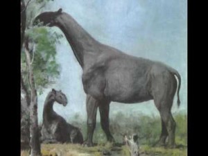 10 Facts about Baluchitherium - Fact File