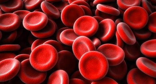 10 Facts About Blood Fact File