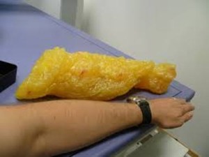 10 Facts about Blubber - Fact File