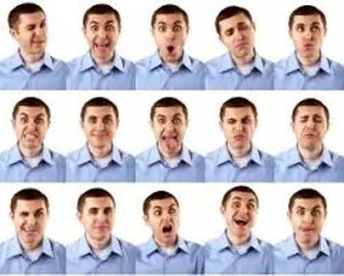 10 Facts About Body Language Fact File 10 Facts About Body Language Fact File