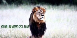 10 Facts about Cecil the Lion - Fact File