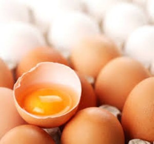 10 Facts about Chicken Eggs - Fact File