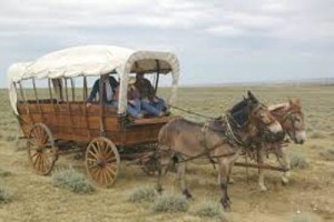 10 Facts about Covered Wagons - Fact File