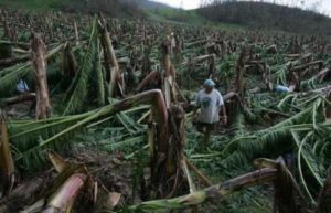 10 Facts about Cyclone Larry - Fact File