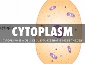 10 Facts about Cytoplasm - Fact File