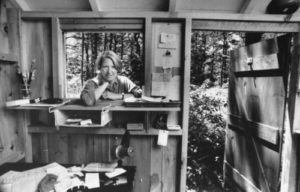 10 Facts about Annie Dillard - Fact File